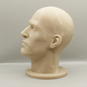 Male Realistic Head Bust | Portrait Reference Tool | Multiple Sizes - Etsy
