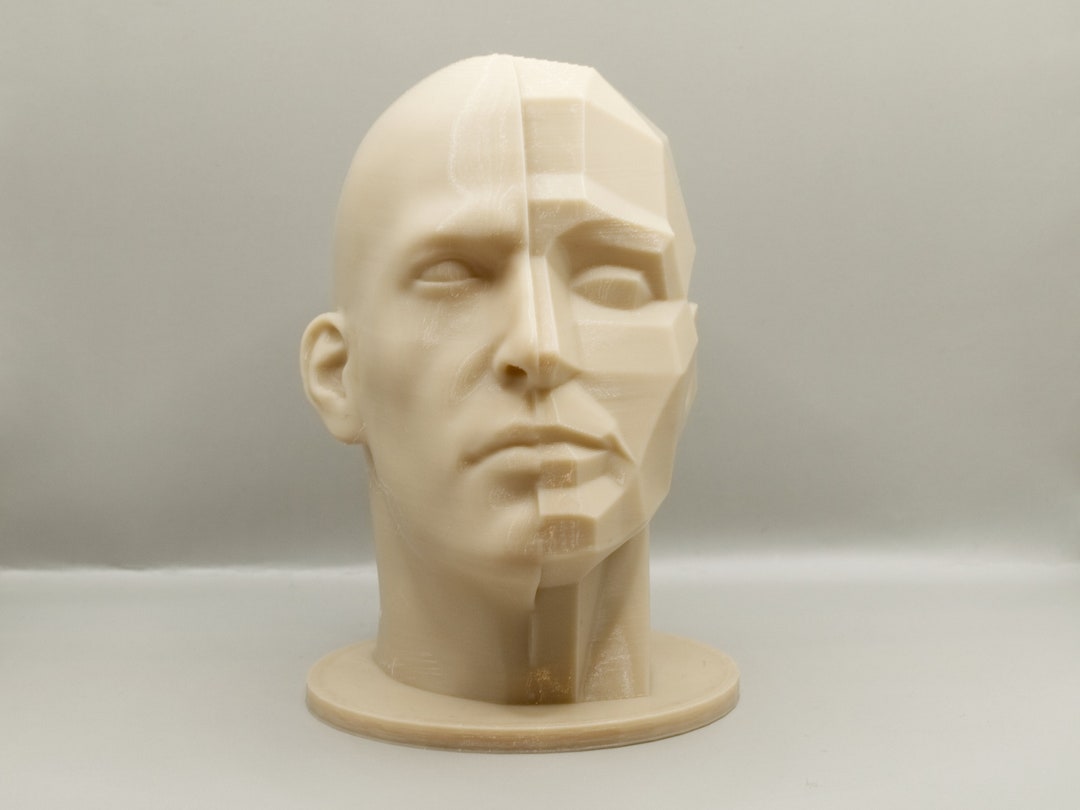 Planar Split Head male Portrait Drawing Sculpting Aid Loomis Bammes ...