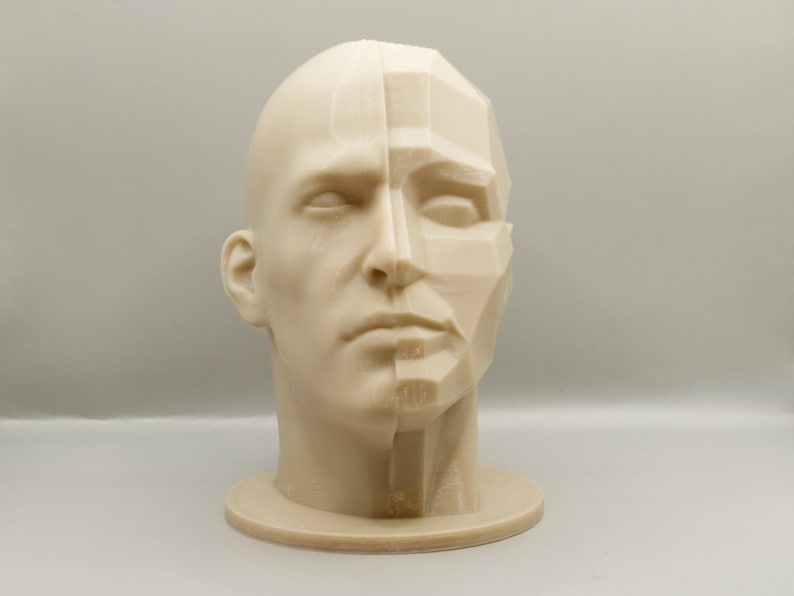 Planar Split Head male Portrait Drawing Sculpting Aid - Etsy UK