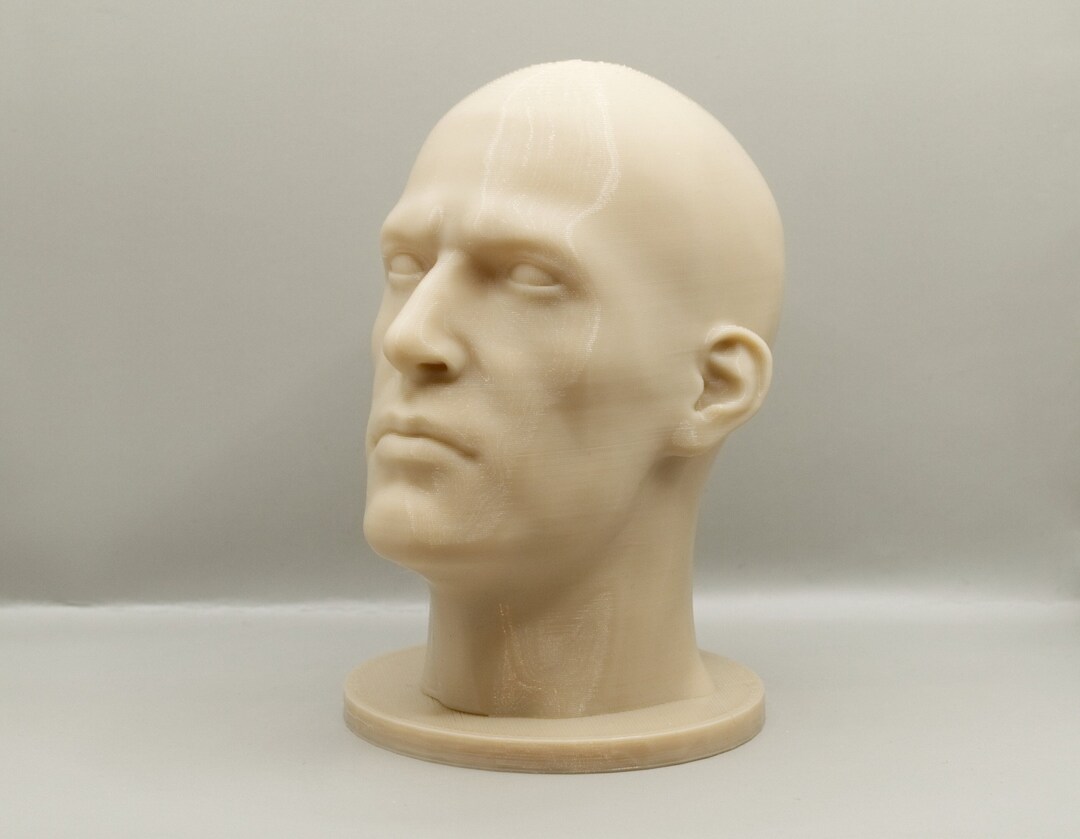 Male Realistic Head Bust Portrait Reference Tool Multiple - Etsy