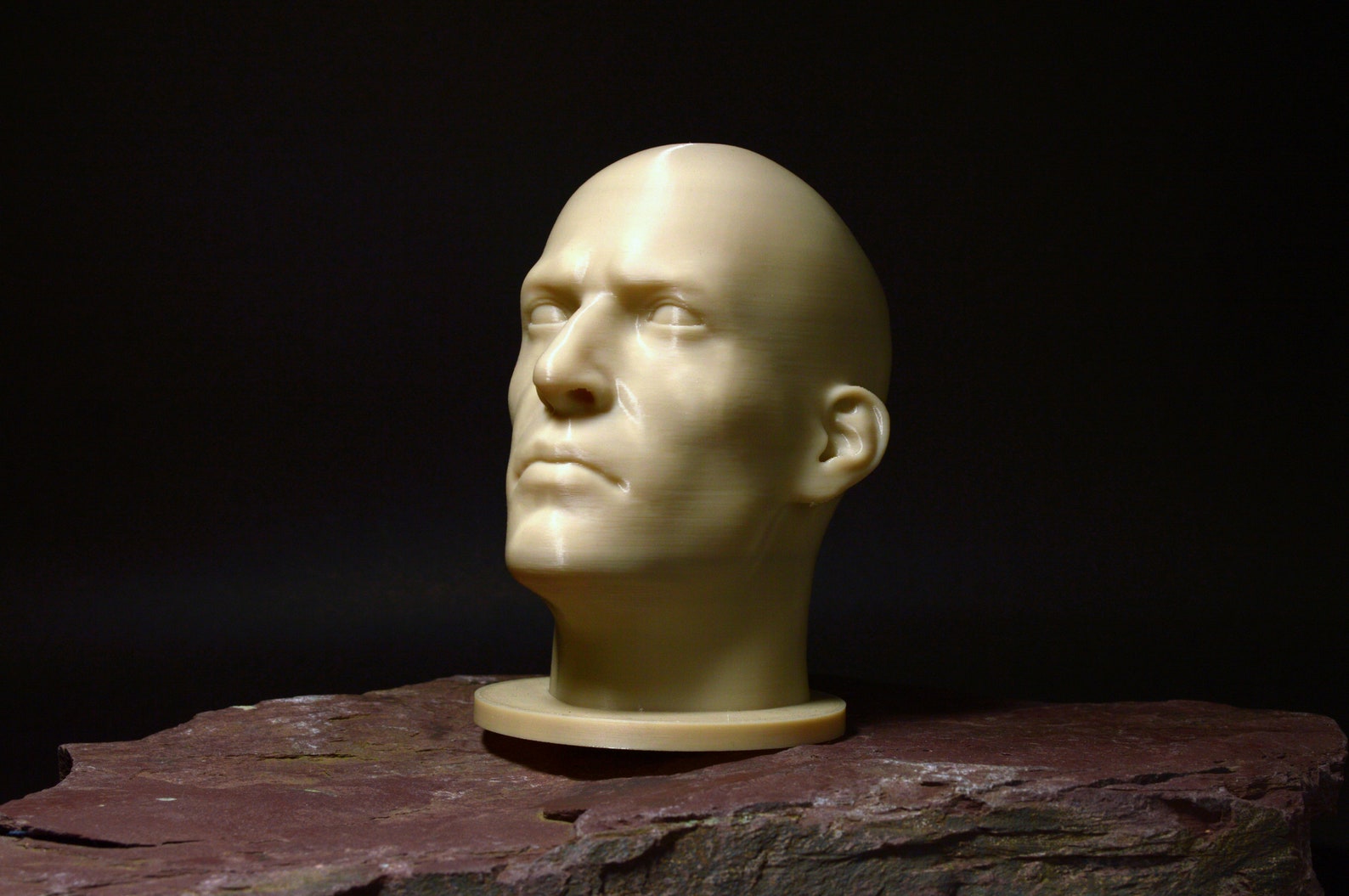 Male Realistic Head Bust — Anatomy Reference Model for Figure Drawing ...