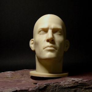 Male Realistic Head Bust | Portrait Reference Tool | Multiple Sizes - Etsy