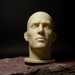 Male Realistic Head Bust — Anatomy Reference Model for Figure Drawing ...