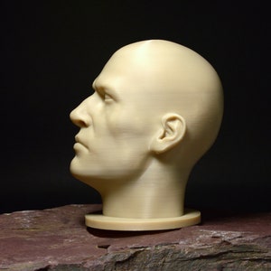 Male Realistic Head Bust Portrait Reference Tool Multiple Sizes - Etsy