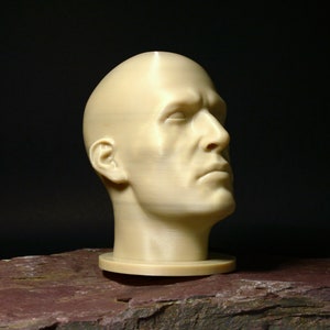 Male Realistic Head Bust — Anatomy Reference Model for Figure Drawing ...