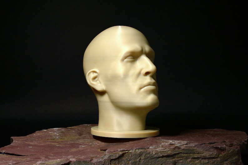 Male Realistic Head Bust — Anatomy Reference Model for Figure Drawing ...