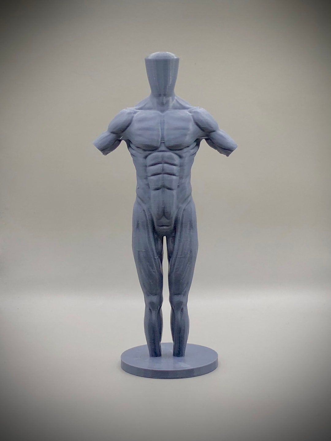 Human Anatomy Manikin: 6 Inch Male Muscular Study - Etsy