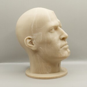 Planar Split Head male Portrait Drawing Sculpting Aid Loomis Bammes ...