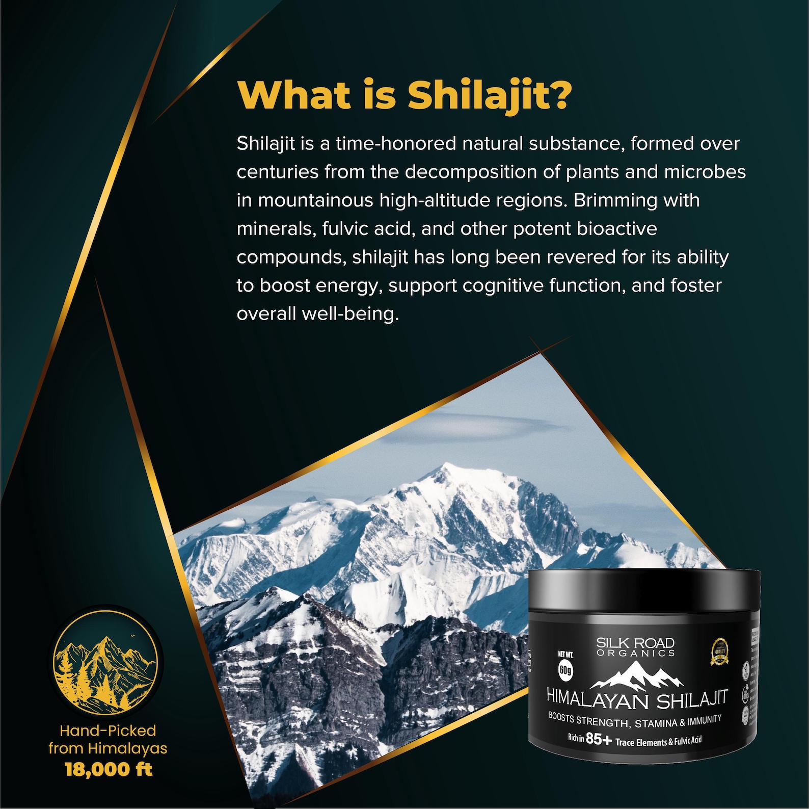 120g Semi-liquid Pure Himalayan Shilajit Natural Energy Boost ...