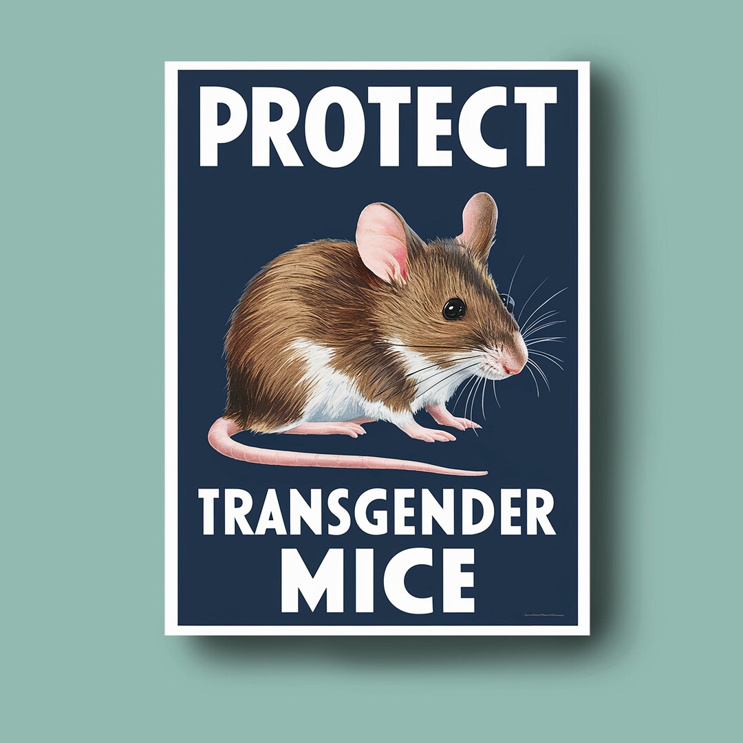 Protect Transgender Mice, Political Sticker, Anti Trump, Democrat ...
