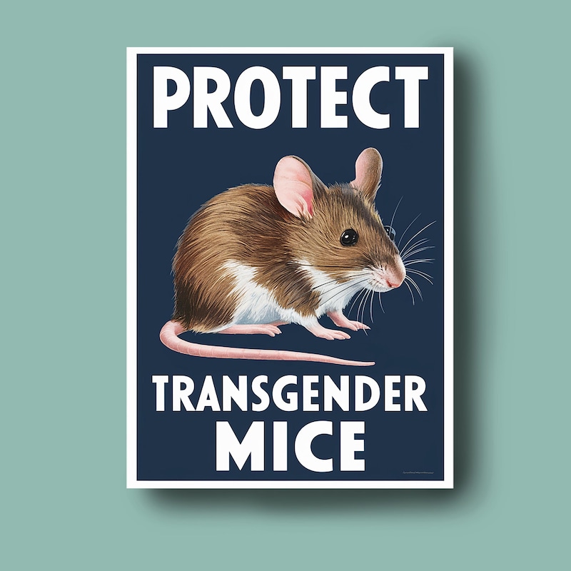 The Mice Political - Etsy