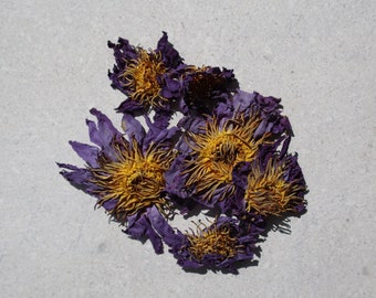 30 Capsules Blue Lotus Flower 200:1 Extract 200x - Etsy