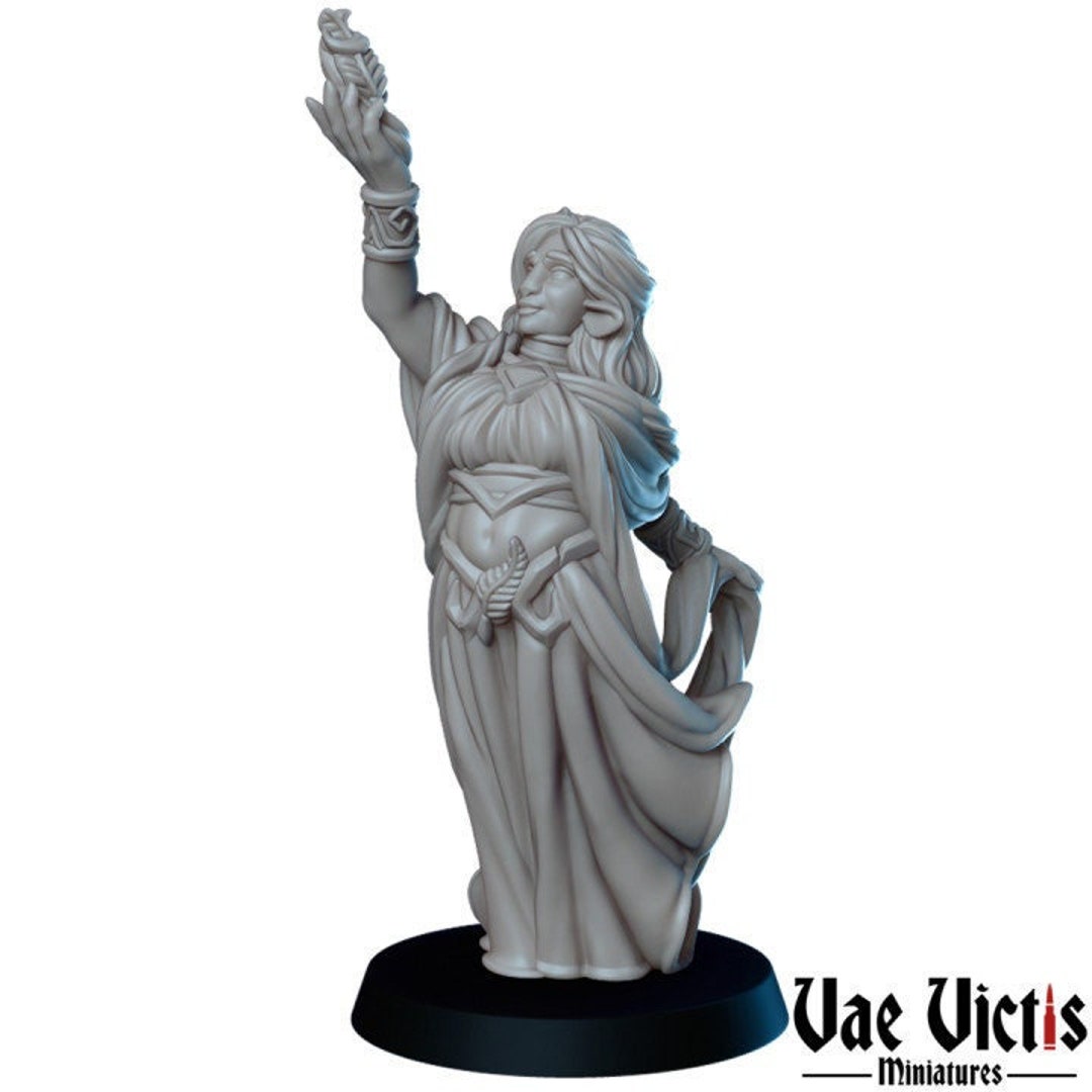 Firbolg Mage | the Magic Academy - Vae Victis Miniatures | High ...