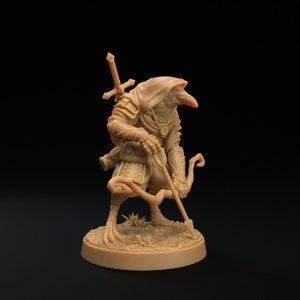 Ravenfolk Hero | Revenge of the Farmomancer - Dragon Trappers Lodge | D ...