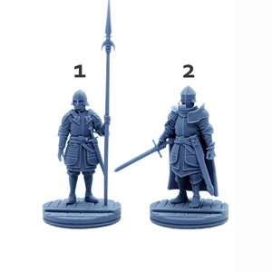 Waterdeep City Guard | Dungeons & Dragons Waterdeep Dragon Heist ...