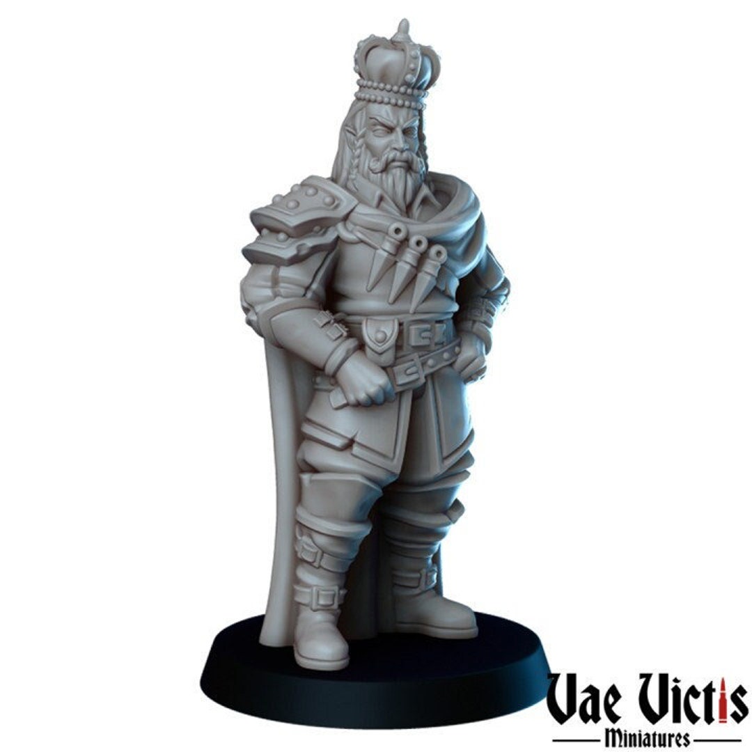 The Rogue King the Thieves' Guild Vae Victis - Etsy