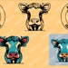 Kitchen Svg With Retro Cow/pdf/png - Etsy