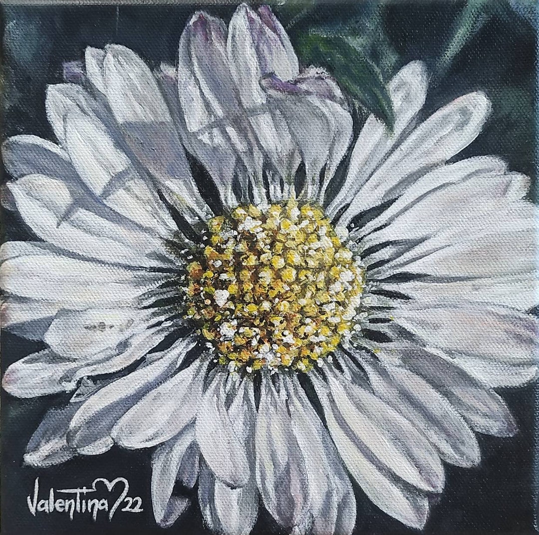 Daisy Paintings Set Flower on Canvas Acrylic Paintings With - Etsy