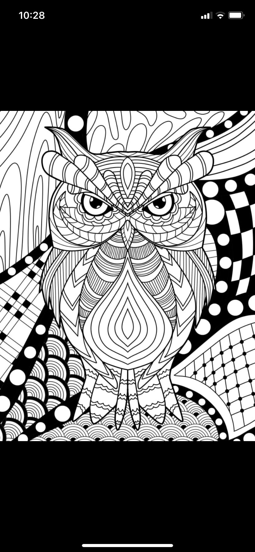 Intricate Zen Tangle Colouring Pages X20 - Etsy