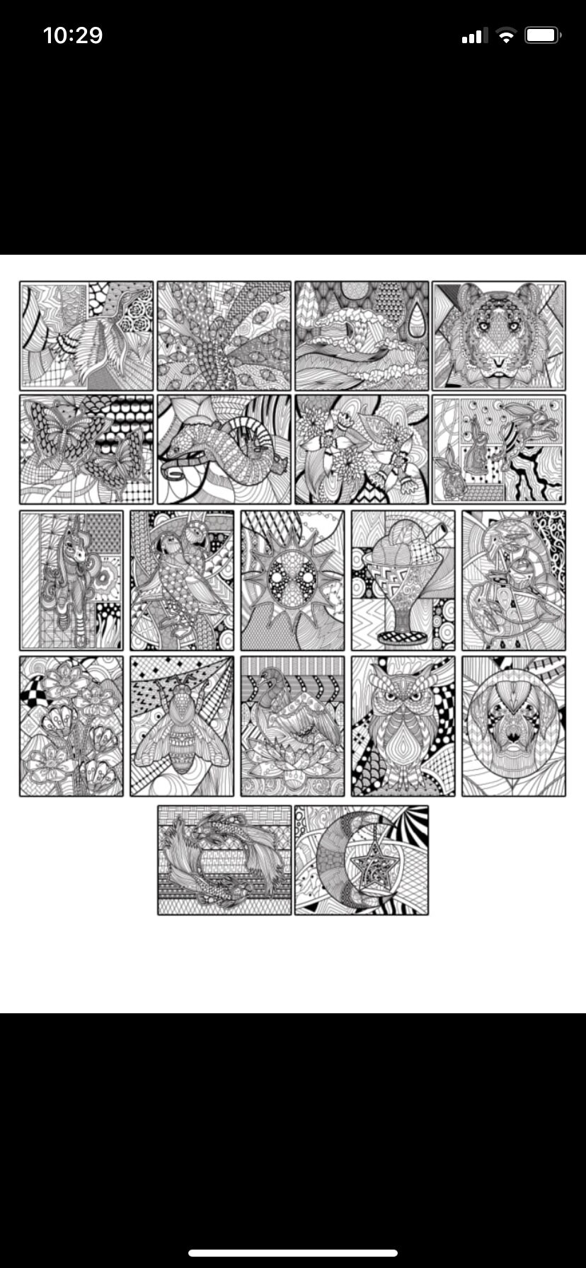 Intricate Zen Tangle Colouring Pages X20 - Etsy