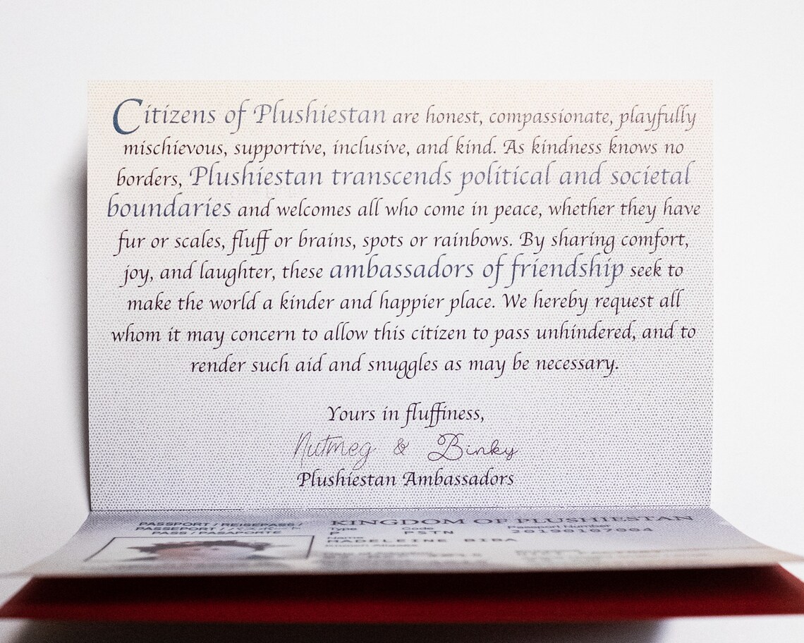 Custom Passport for Stuffed Animals, Teddy Bears, Plushies, Soft Toys ...