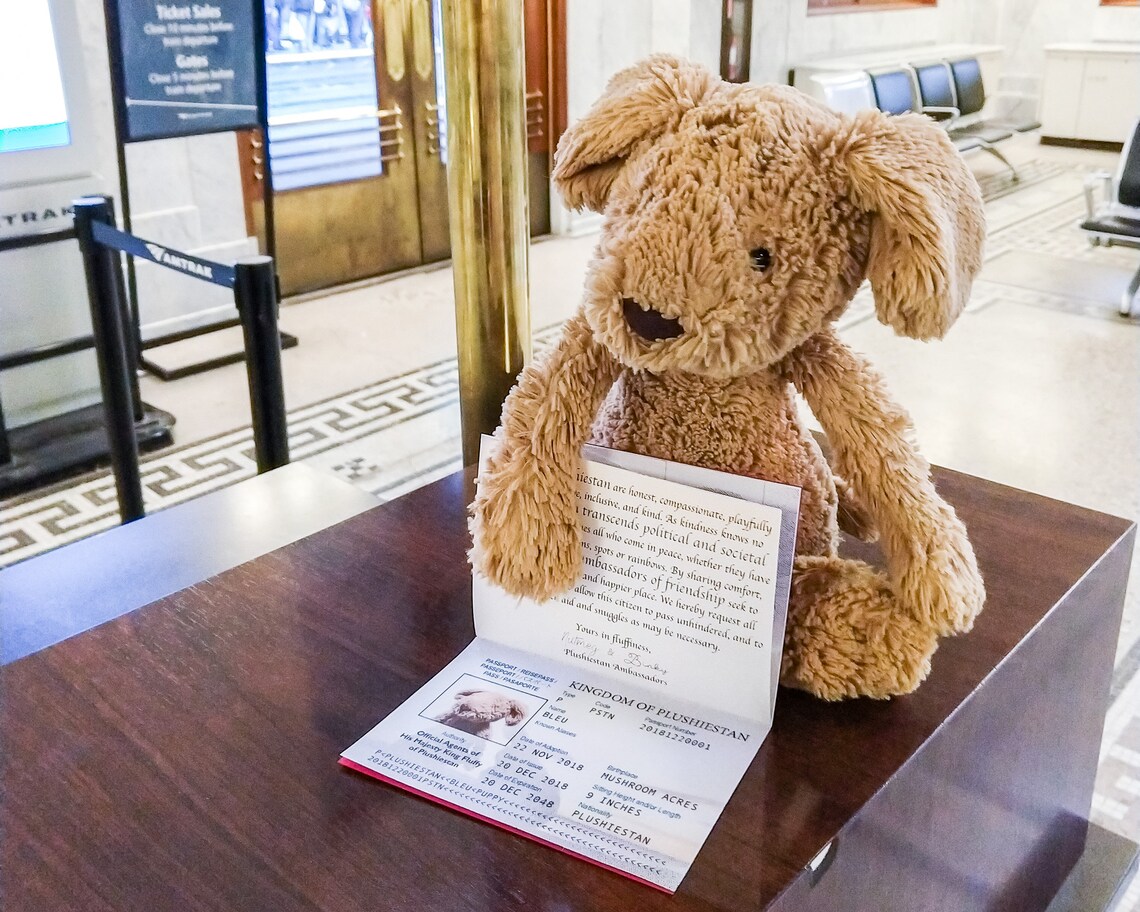 Custom Passport for Stuffed Animals, Teddy Bears, Plushies, Soft Toys ...