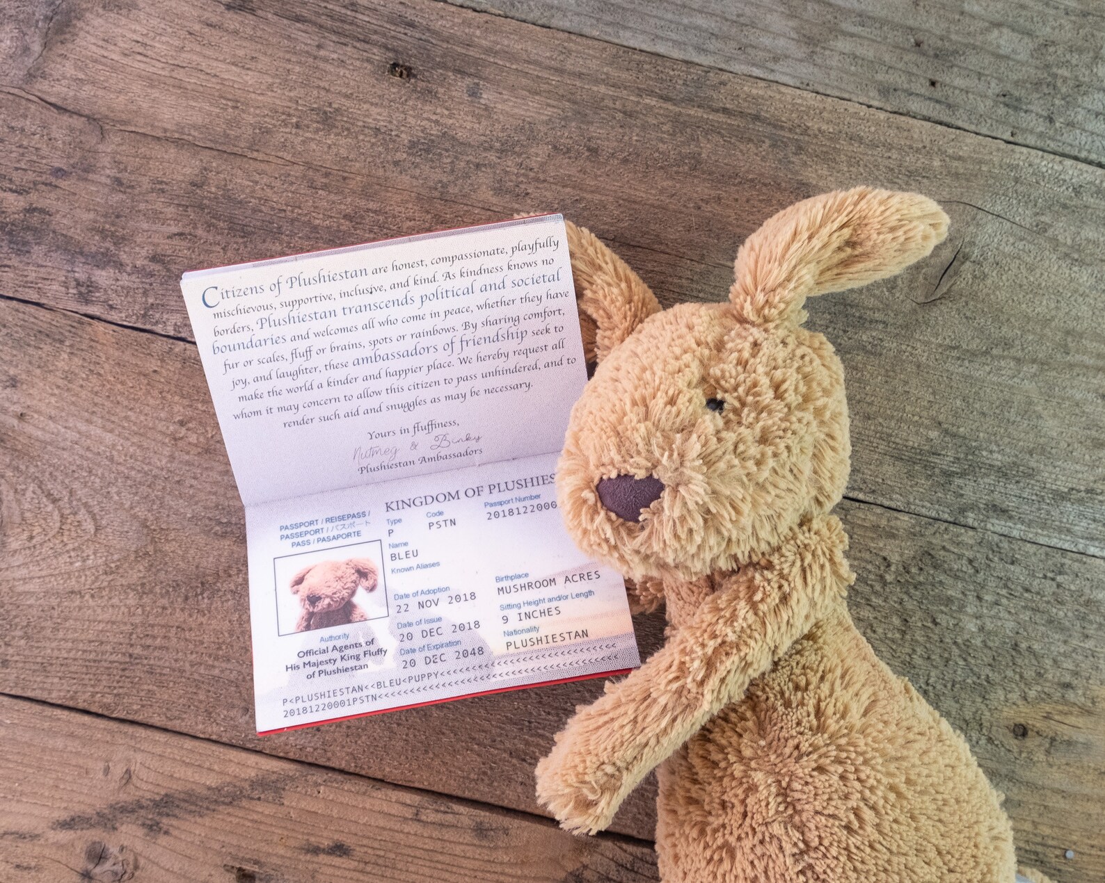 Custom Passport for Stuffed Animals, Teddy Bears, Plushies, Soft Toys ...