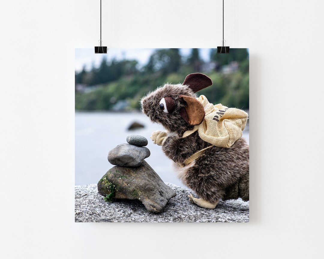 Mindfulness: Rock Cairn Meditation Photo With Cute Pack Rat - Etsy