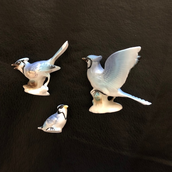 Bone China Blue - Etsy