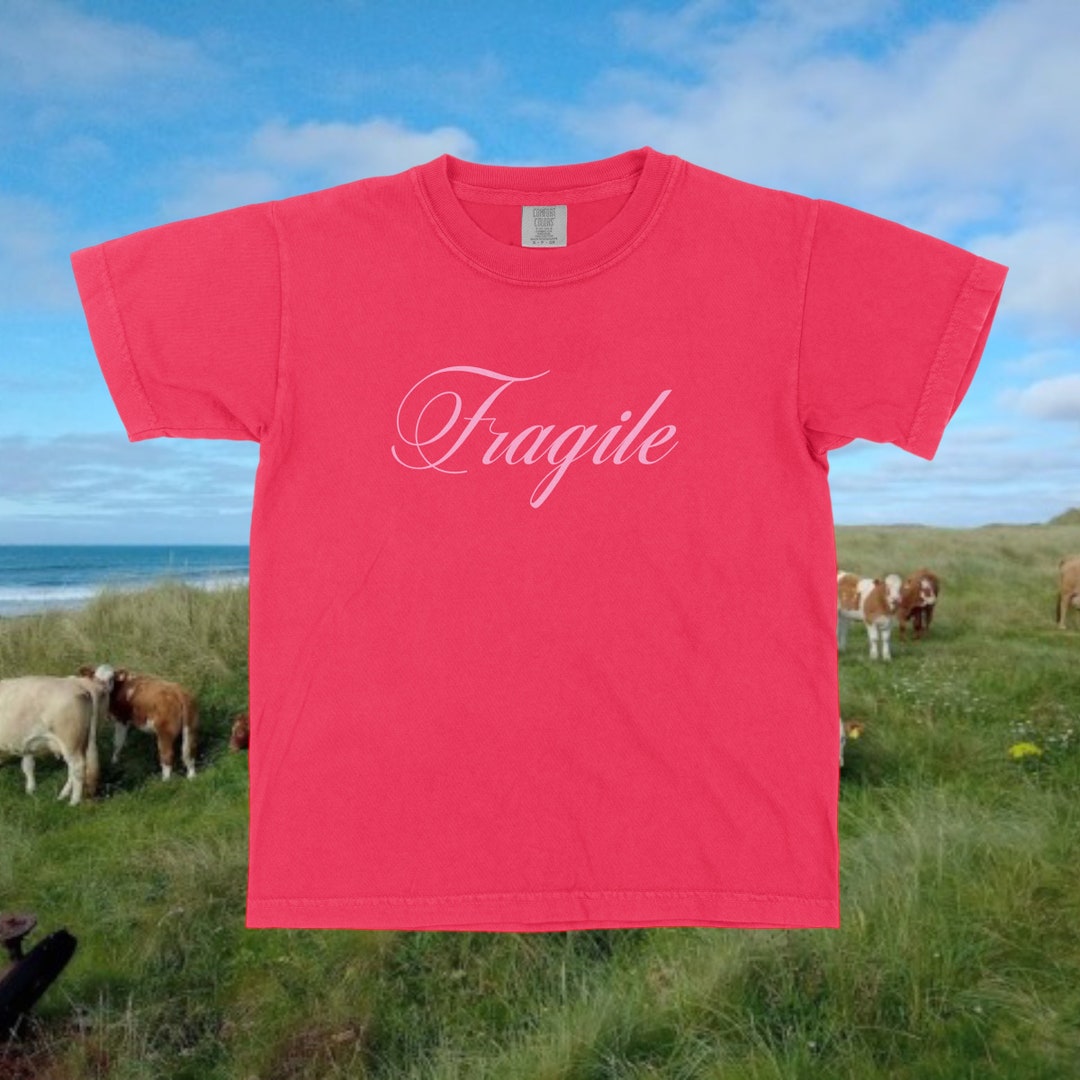Fragile Baby Tee Coquette Baby Tee Shirt Cute Aesthetic Baby Tee Women ...