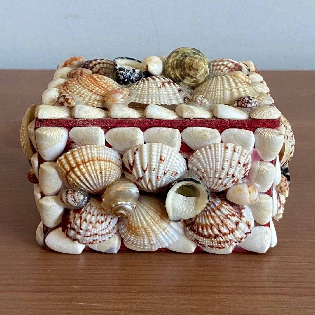 Vintage Mini Shell Trinket Box - Red Velvet Interior - 3.8” W X 2.5” T ...