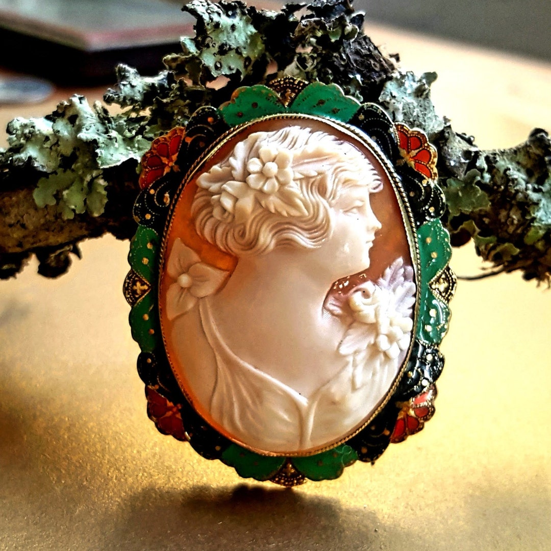 Art Deco Red Helmet Shell Cameo Brooch. Oval 14k Gold, Multicolor ...