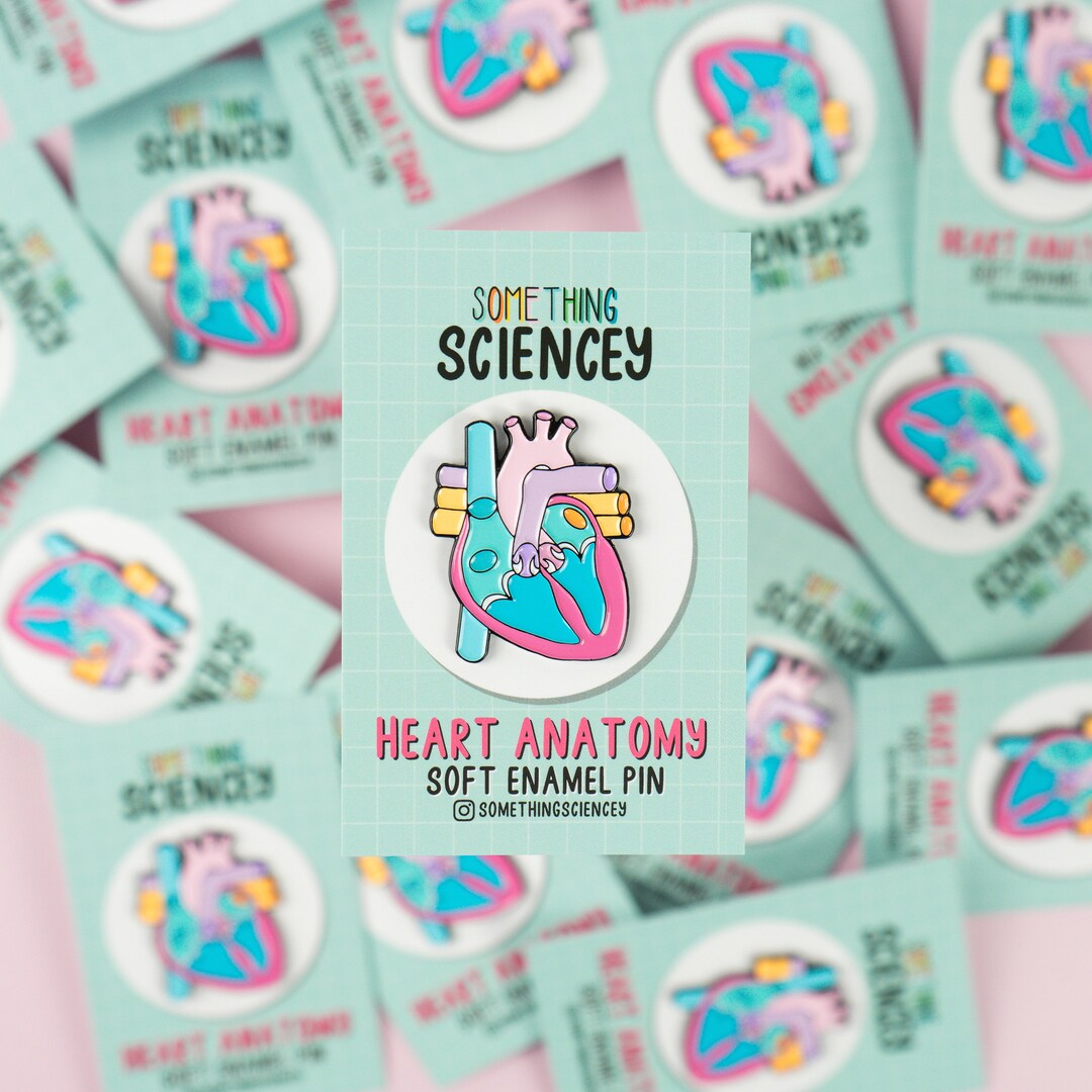 Heart Anatomy Soft Enamel Pin - 35mm - Biology Pin, Science Pin, Gift ...