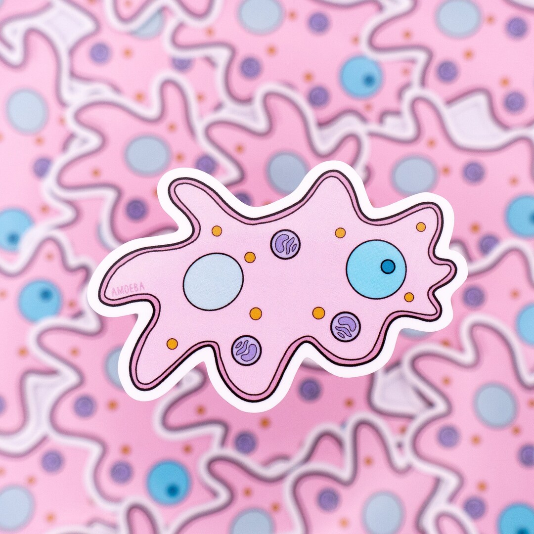 Amoeba Waterproof Sticker - Biology, Microbiology, Gift for Biologist ...