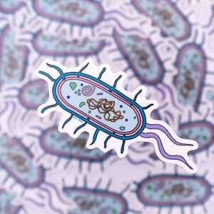 Bacteria Waterproof Sticker - Biology, Microbiology,gift for Biologist ...