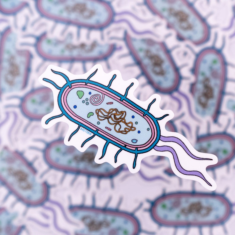 Bacteria Waterproof Sticker Biology Microbiologygift for - Etsy