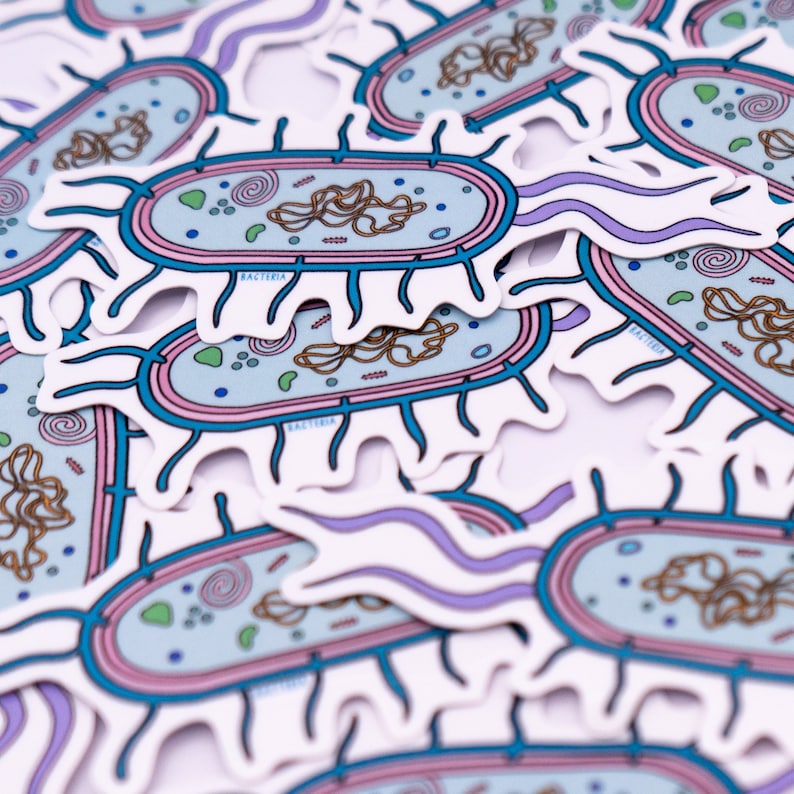Bacteria Waterproof Sticker Biology Microbiologygift for - Etsy