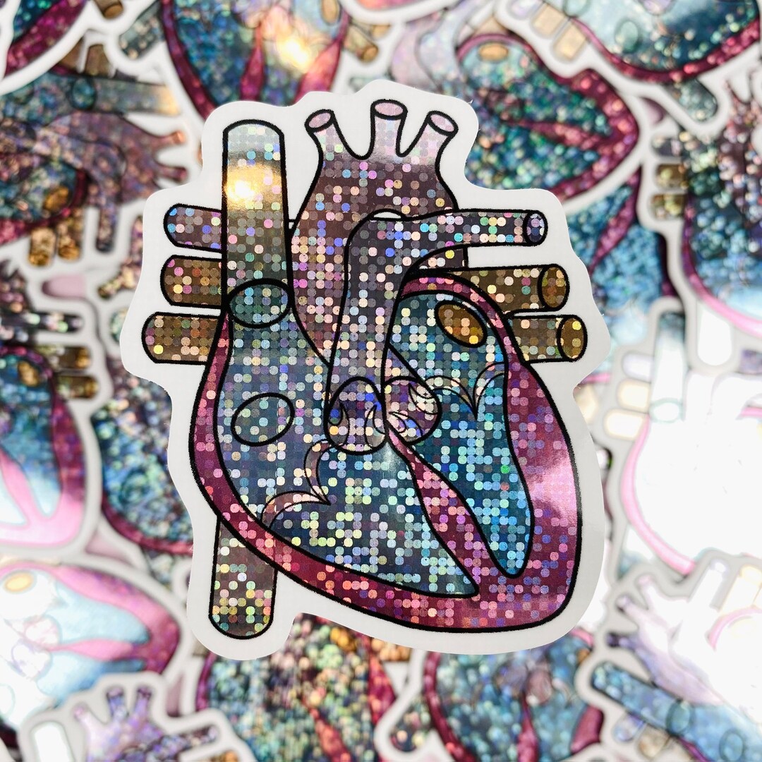 Glitter Heart Diagram Sticker - Biology Sticker, Science Sticker ...