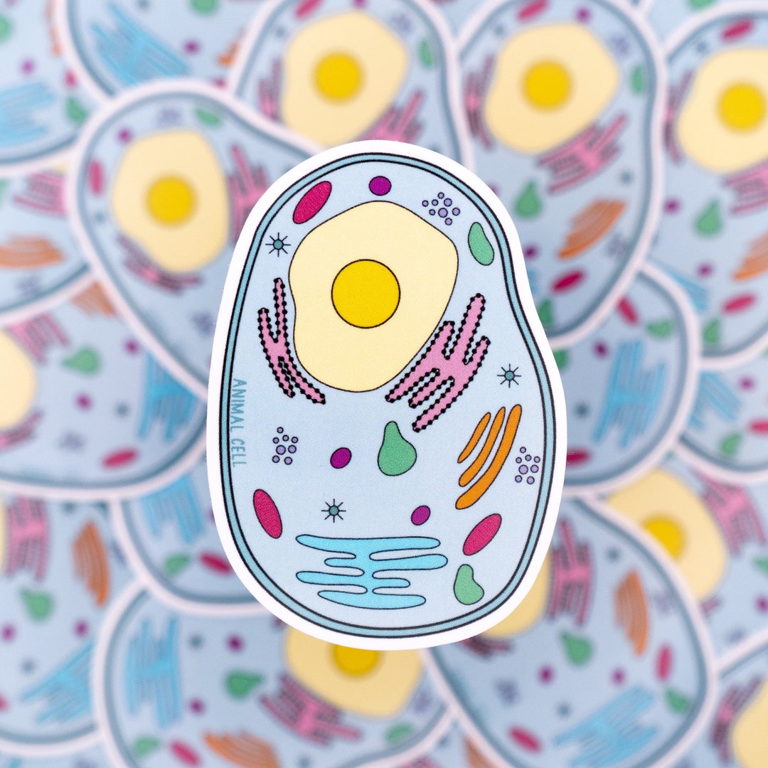 Animal Cell Waterproof Sticker - Biology, Cell Biology, Gift for ...