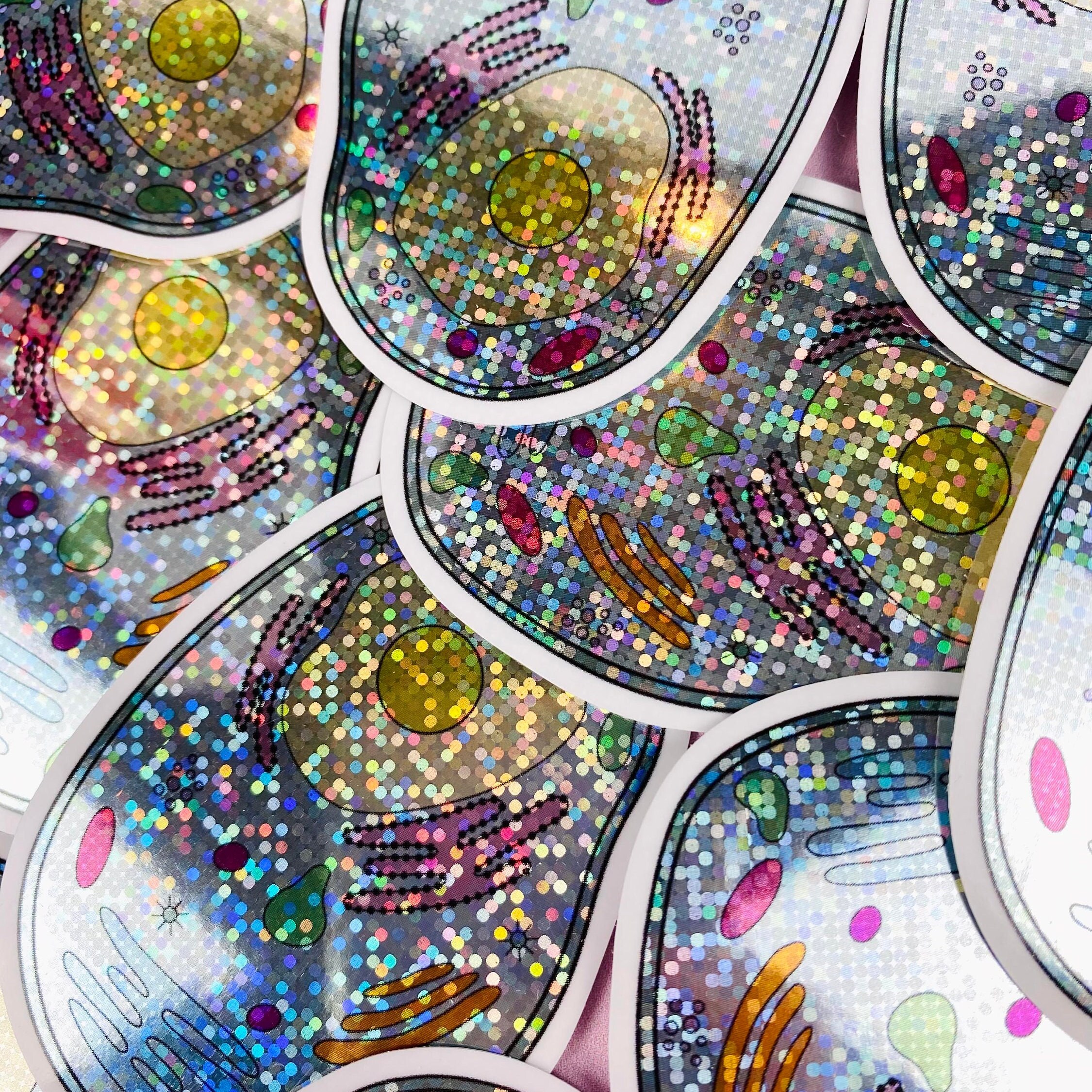 Glitter Animal Cell Diagram Sticker Biology Sticker Cell - Etsy Australia