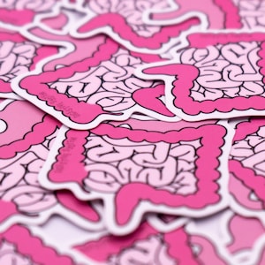 Digestive System Waterproof Sticker - Biology, Gastroenterology, Gift ...