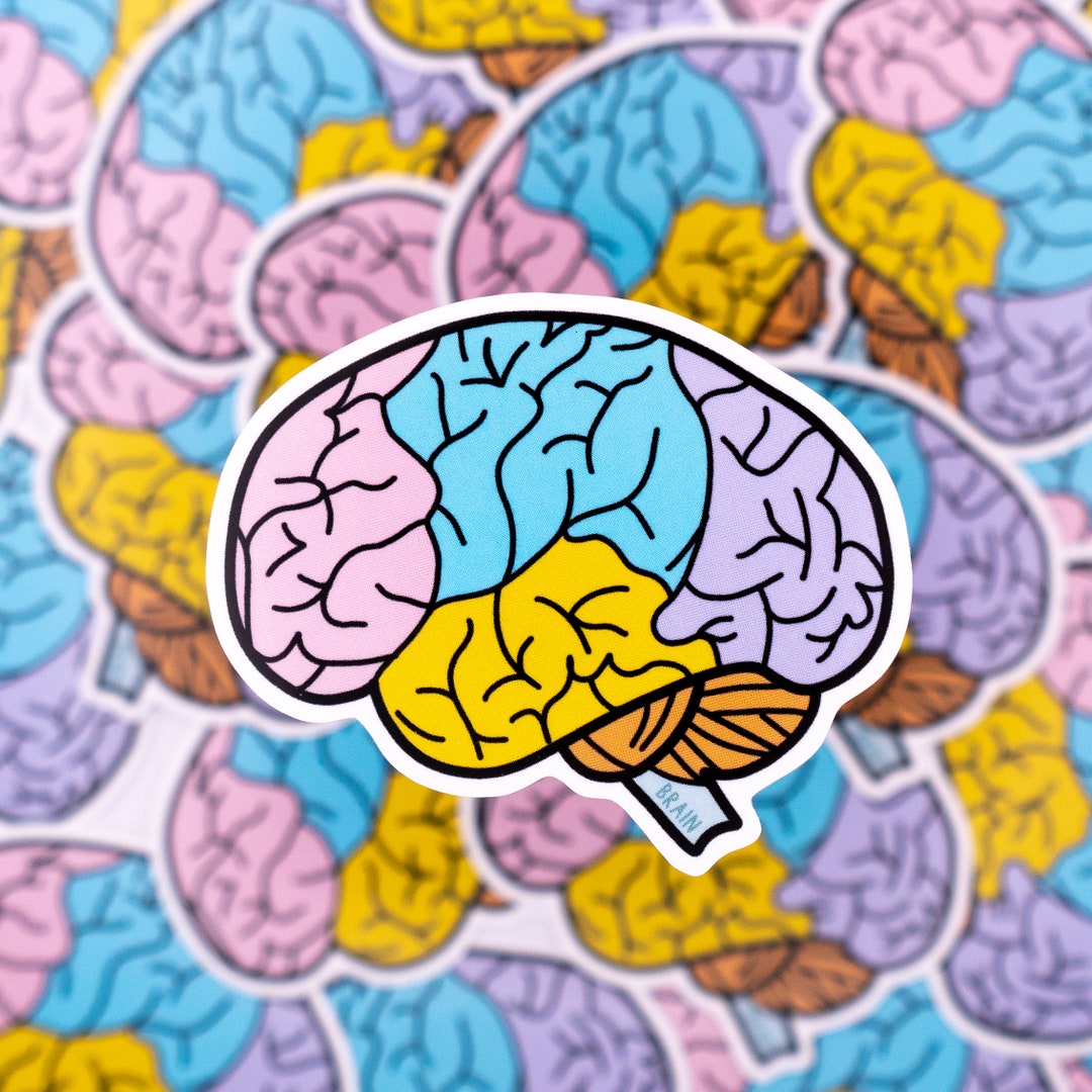 Brain Waterproof Sticker - Psychology, Neurology, Gift for Psychologist ...