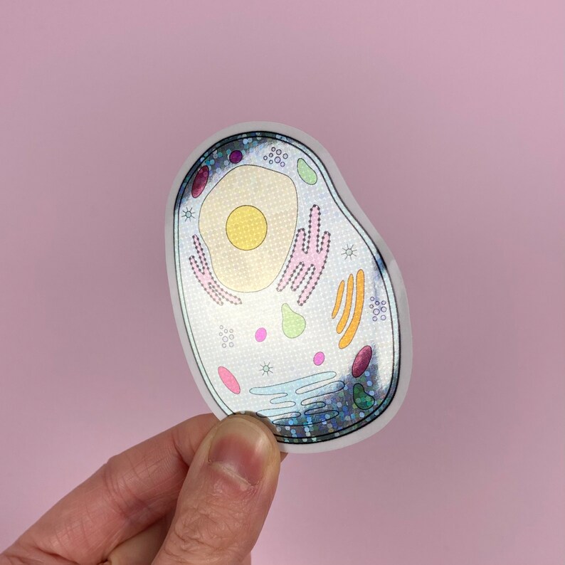 Glitter Animal Cell Diagram Sticker Biology Sticker Cell - Etsy