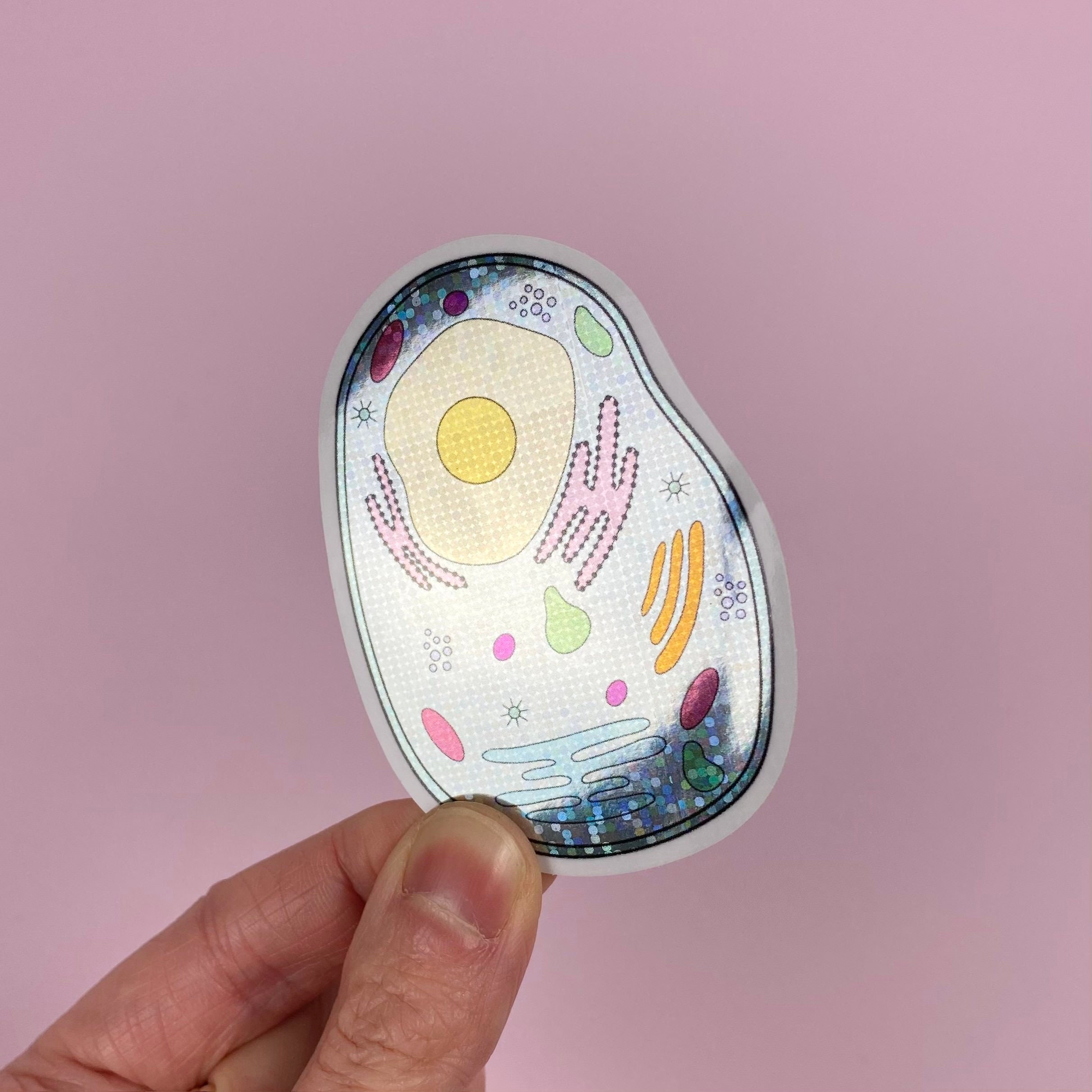 Glitter Animal Cell Diagram Sticker Biology Sticker Cell - Etsy Australia