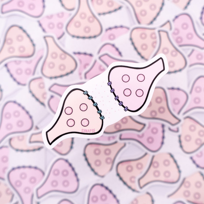 Synapse Waterproof Sticker - Psychology, Neurology, Gift for Biologist ...