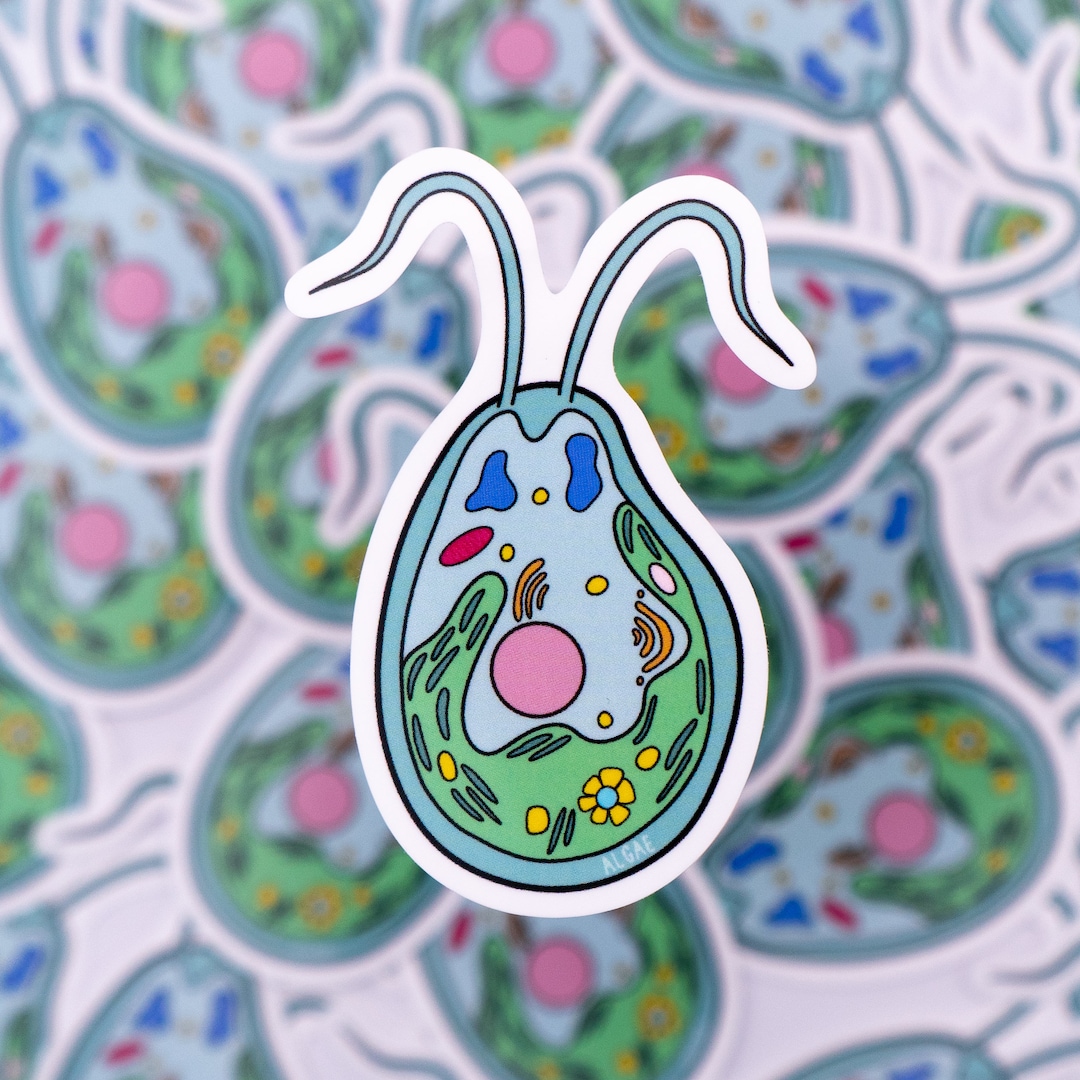 Algae Waterproof Sticker - Biology, Microbiology, Gift for Biologist ...