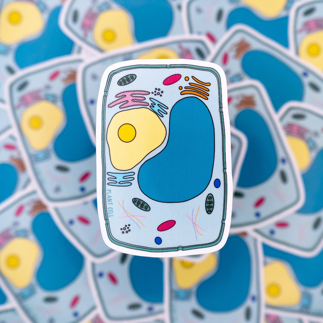 Plant Cell Waterproof Sticker - Biology, Cell Biology, Gift for ...