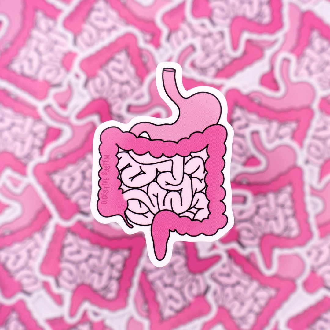 Digestive System Waterproof Sticker - Biology, Gastroenterology, Gift ...