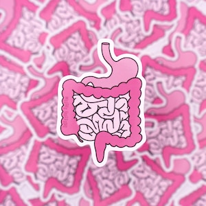Digestive System Waterproof Sticker - Biology, Gastroenterology, Gift ...