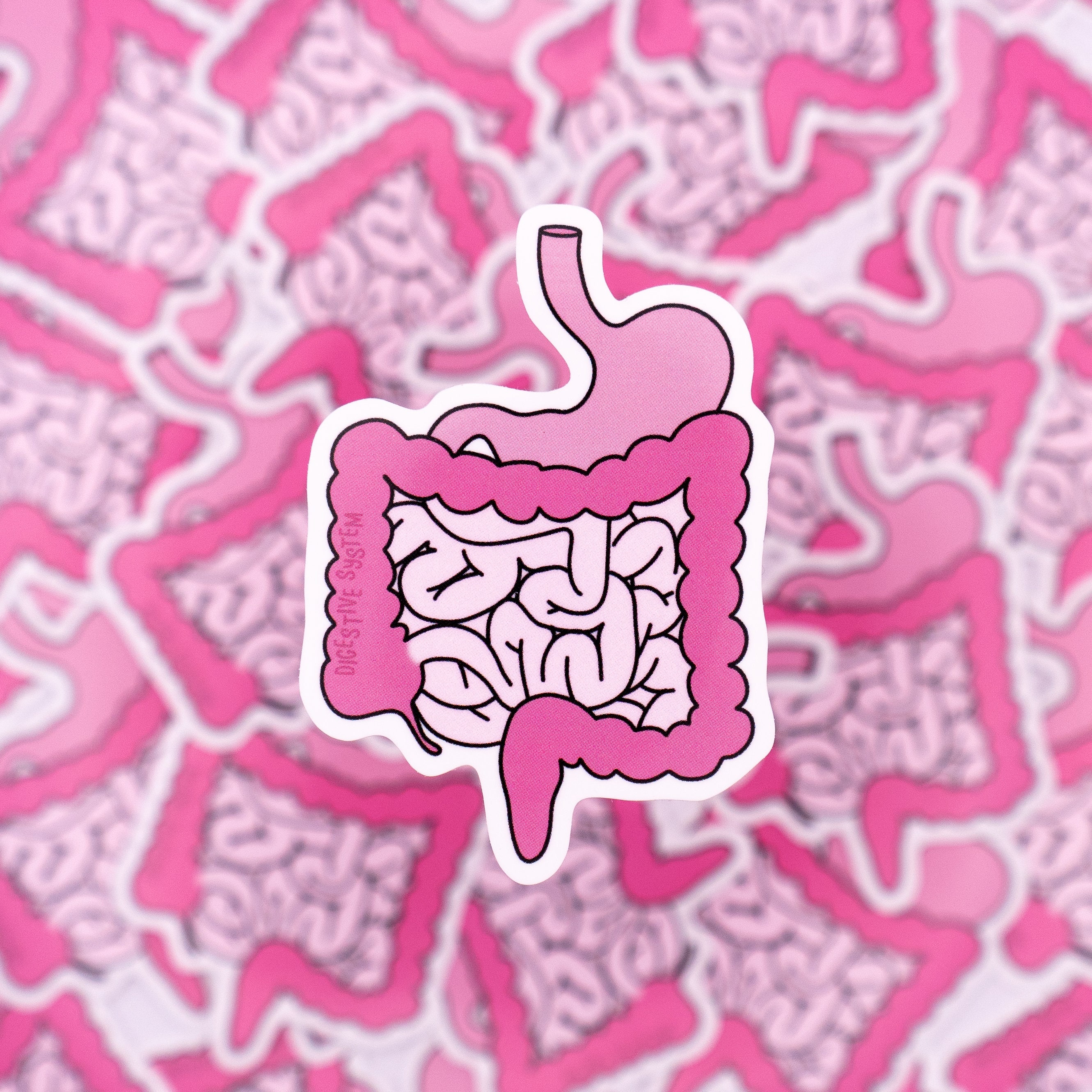 Digestive System Waterproof Sticker - Biology, Gastroenterology, Gift ...